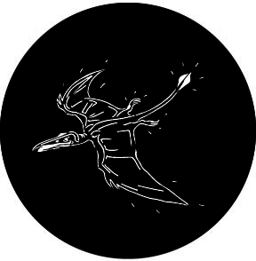 Rosco Gobo - Dino Bird